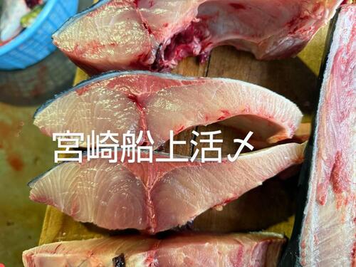 活〆ブリ11-13k2入約12kg(定置)【業務用の鮮魚仕入れならウーオ】