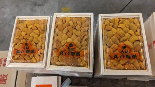 ウニ100g×5枚 約0.5kg【業務用の鮮魚仕入れならウーオ】