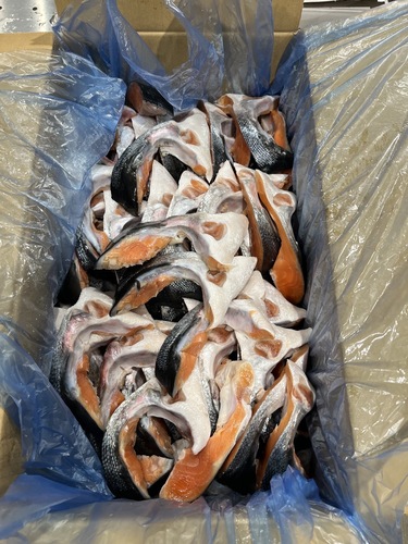 銀鮭約10kg【業務用の鮮魚仕入れならウーオ】