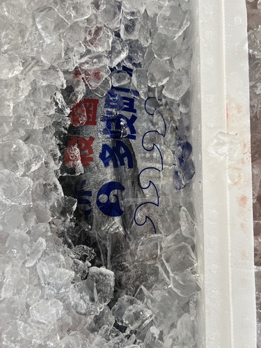 コシナガマグロ1入約6.5kg(定置) | UUUO(ウーオ)