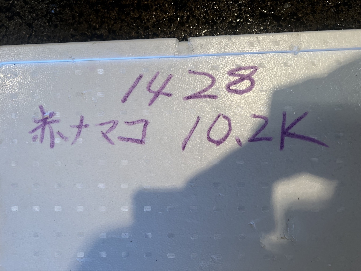 赤ナマコ約10.2kg【業務用の鮮魚仕入れならウーオ】
