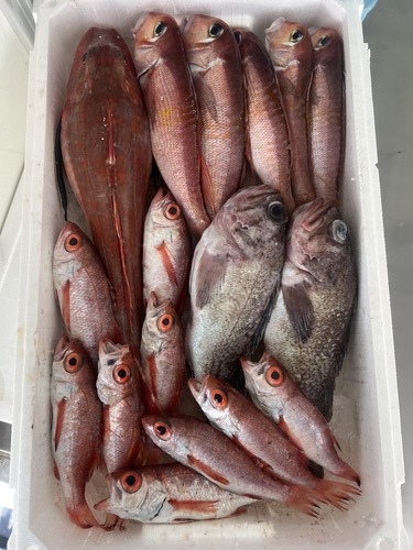 鮮魚BOX約4.1kg(底曳)【業務用の鮮魚仕入れならウーオ】