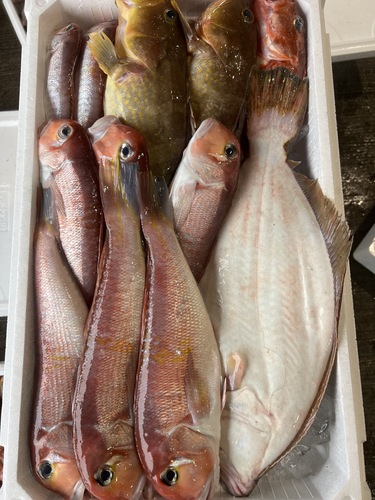 鮮魚BOX約5.3kg(底曳) | UUUO(ウーオ)