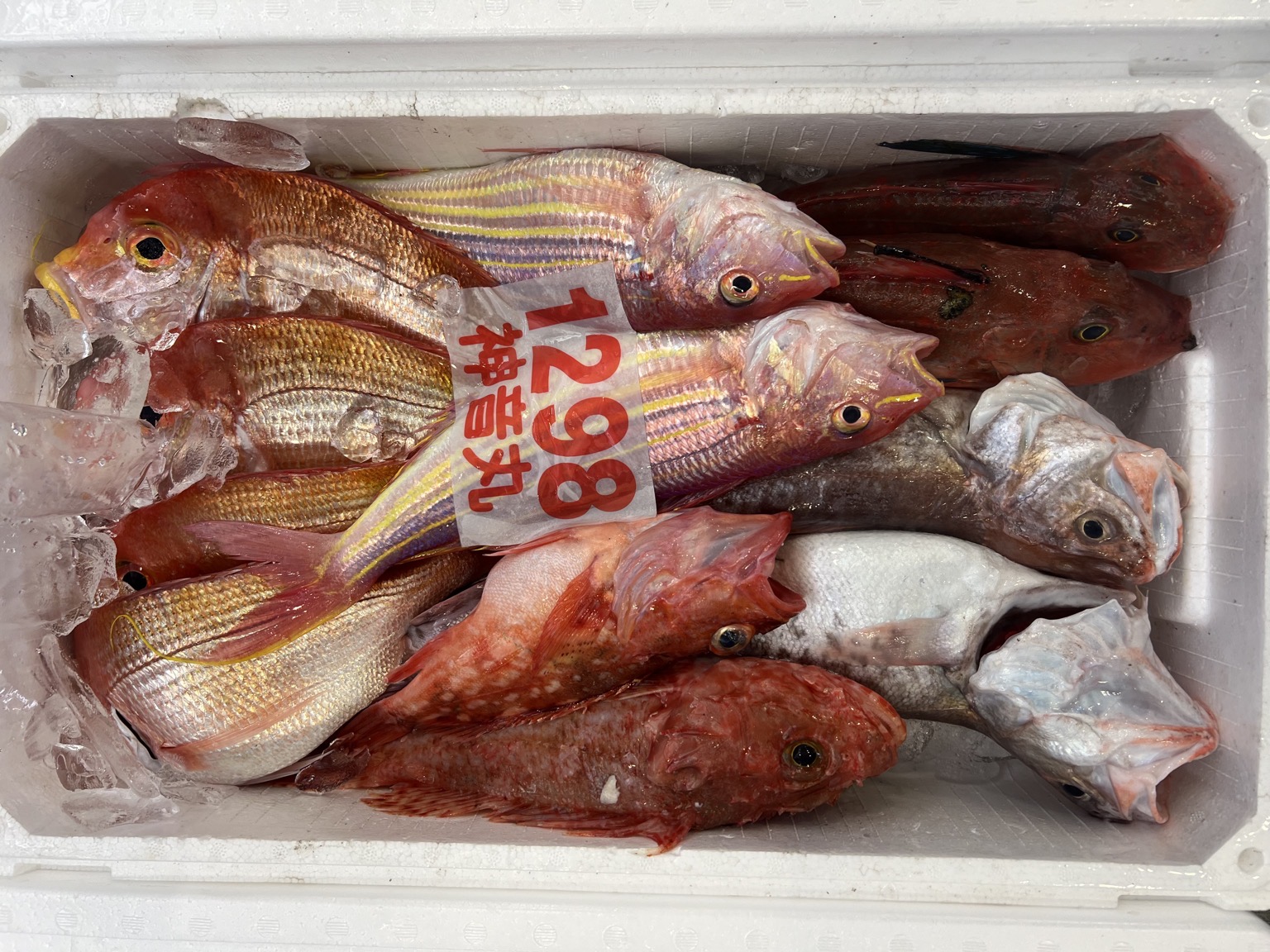 鮮魚BOX約6kg(釣)【業務用の鮮魚仕入れならウーオ】