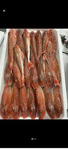 鮮魚BOX【予約商品】約9kg(底曳)【業務用の鮮魚仕入れならウーオ】