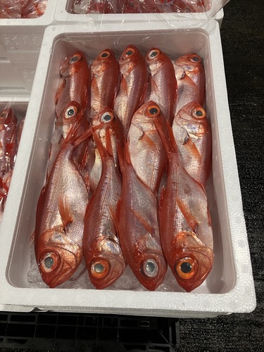 キンメダイ15入約3kg(底曳)【業務用の鮮魚仕入れならウーオ】
