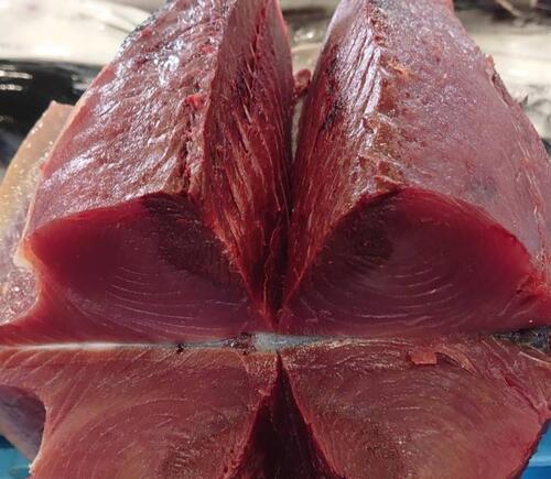 カツオ新口3入約5kg(釣)【業務用の鮮魚仕入れならウーオ】