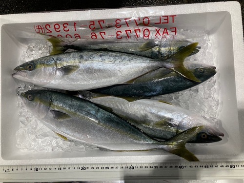 ツバス4入7k前後約7kg(定置)【業務用の鮮魚仕入れならウーオ】