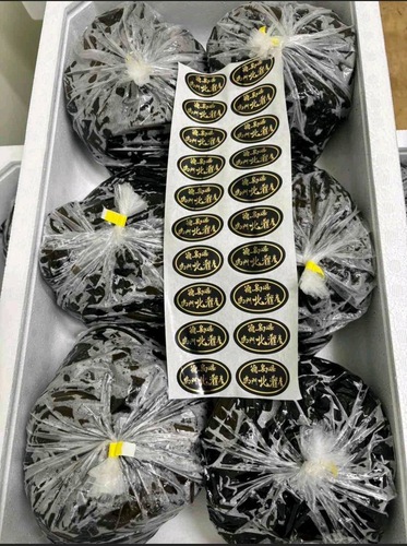 生ワカメ1k ️6p約6kg【業務用の鮮魚仕入れならウーオ】