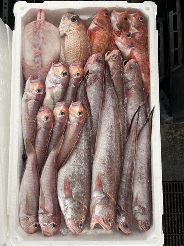 鮮魚BOX約4.6kg(底曳)【業務用の鮮魚仕入れならウーオ】