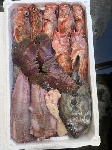 鮮魚BOX約4.1kg(底曳)【業務用の鮮魚仕入れならウーオ】