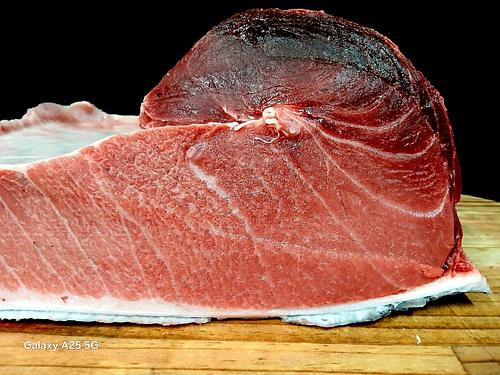 本マグロ(巻網)【業務用の鮮魚仕入れならウーオ】