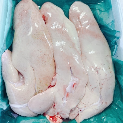 アンコウ0,5-0,7k/3入約1.7kg(底曳)【業務用の鮮魚仕入れならウーオ】