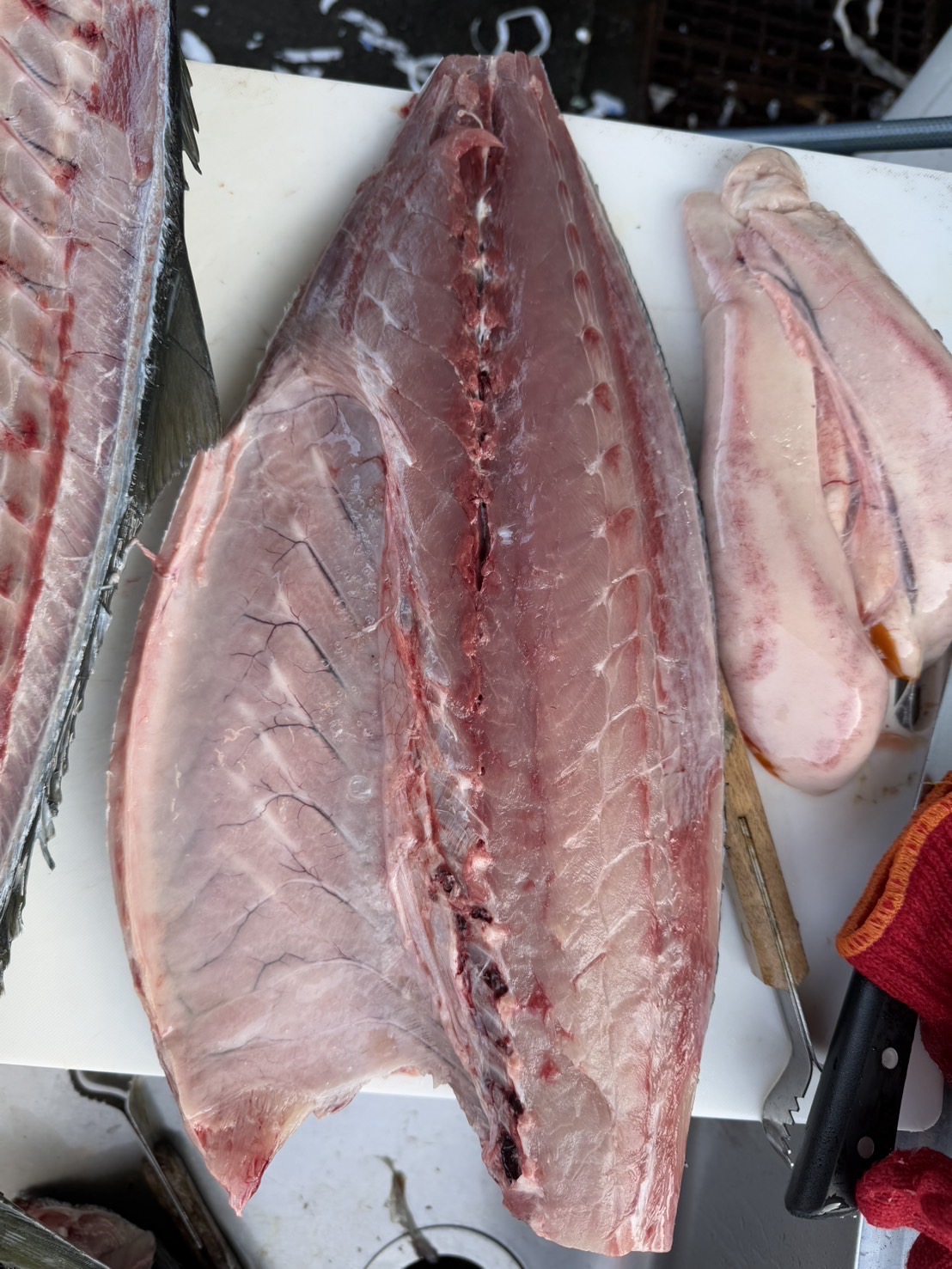 ブリ6/7k1入約6.5kg(定置)【業務用の鮮魚仕入れならウーオ】