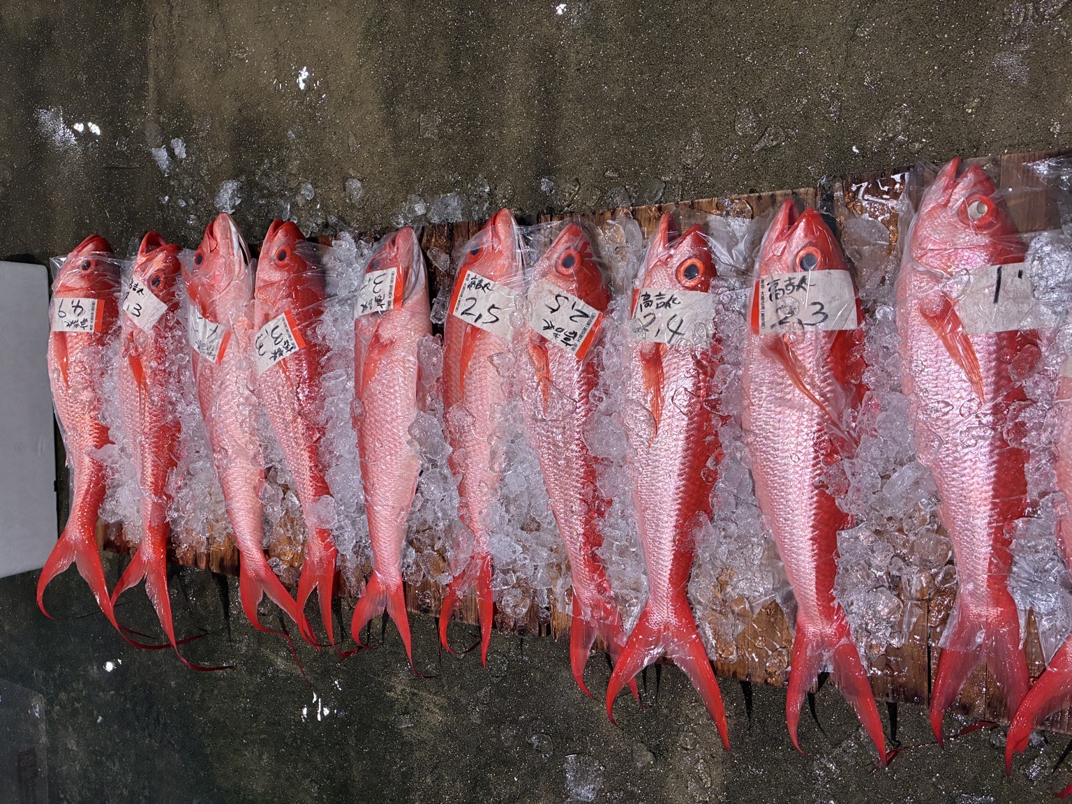 ハマダイ(延縄)【業務用の鮮魚仕入れならウーオ】