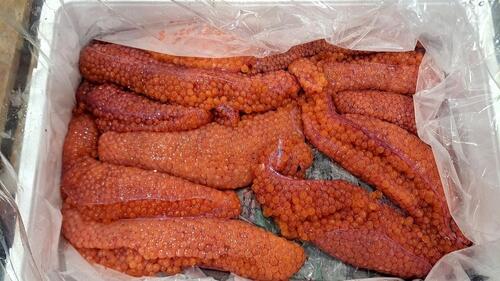 筋子約3kg【業務用の鮮魚仕入れならウーオ】