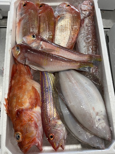 鮮魚BOX⑤約4.5kg(底曳) | UUUO(ウーオ)