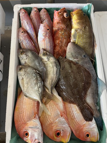 鮮魚BOX⑤約4.5kg | UUUO(ウーオ)