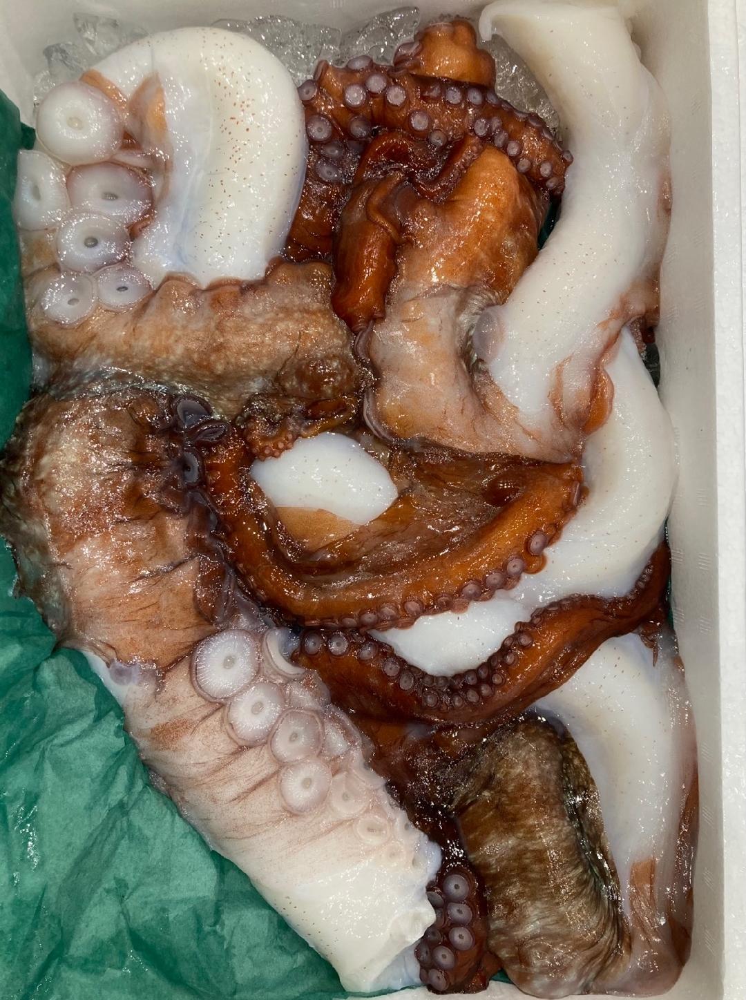 タコ足皮むき3k台2/3入約3kg(沿岸)【業務用の鮮魚仕入れならウーオ】