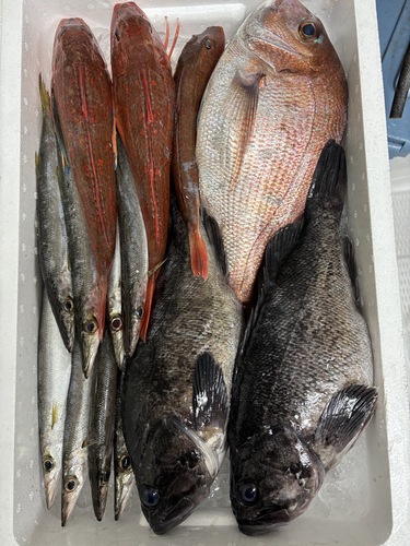 鮮魚BOX約5.1kg(定置)【業務用の鮮魚仕入れならウーオ】