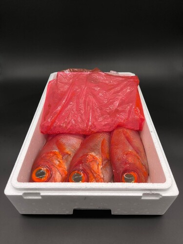 キンメダイ5.3-5.6k6入約5kg(延縄)【業務用の鮮魚仕入れならウーオ】