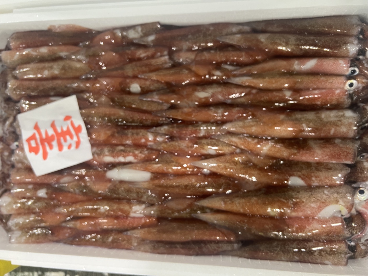 ヤリイカ約4/4.5k4立約4kg(底曳)【業務用の鮮魚仕入れならウーオ】