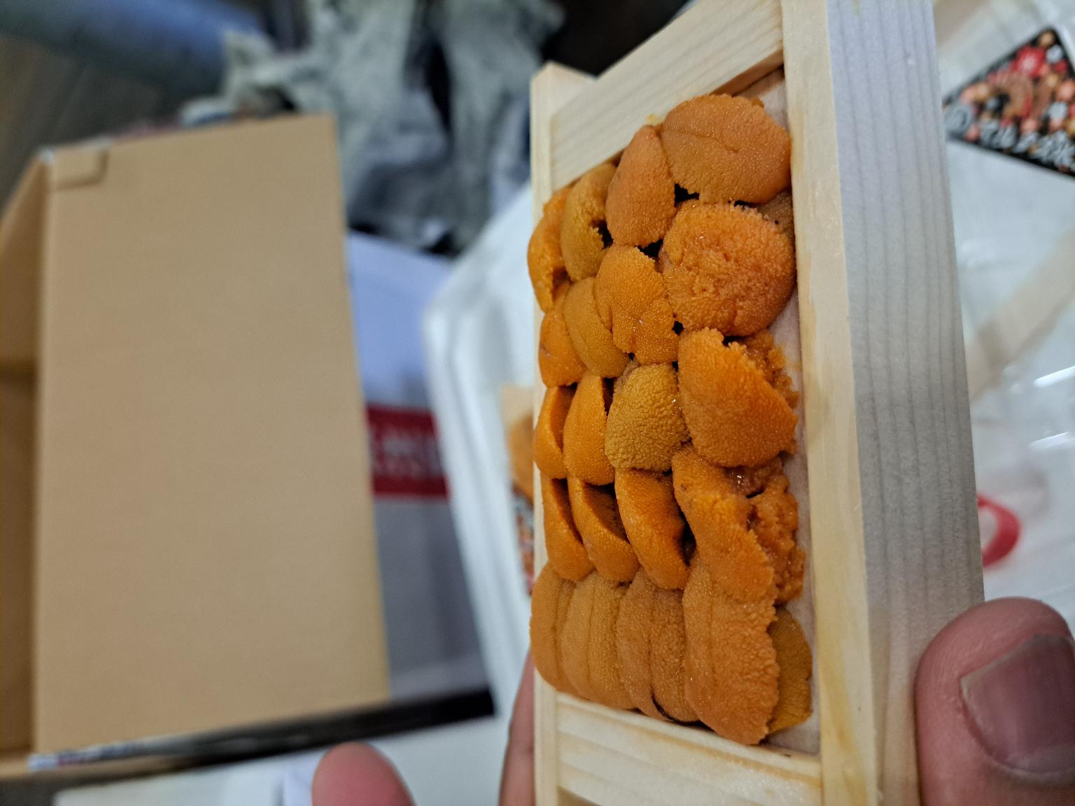 バフンウニ（板）1枚50g位5入約0.25kg【業務用の鮮魚仕入れならウーオ】