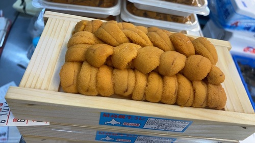 エゾバフンウニ（板）5入約0.5kg | UUUO(ウーオ)