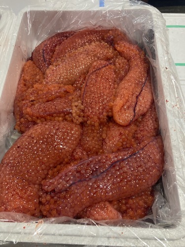 筋子3k2合約6kg【業務用の鮮魚仕入れならウーオ】