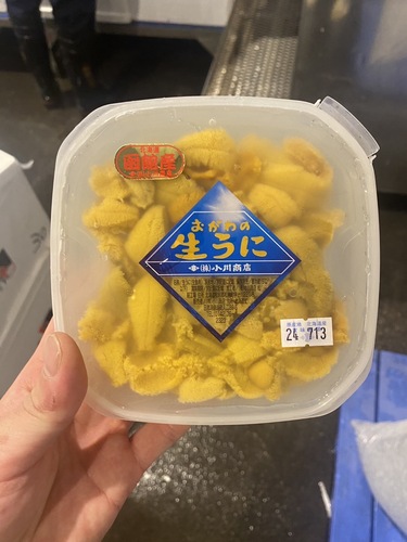 キタムラサキウニ（塩水）5入約0.45kg(沿岸)【業務用の鮮魚仕入れならウーオ】