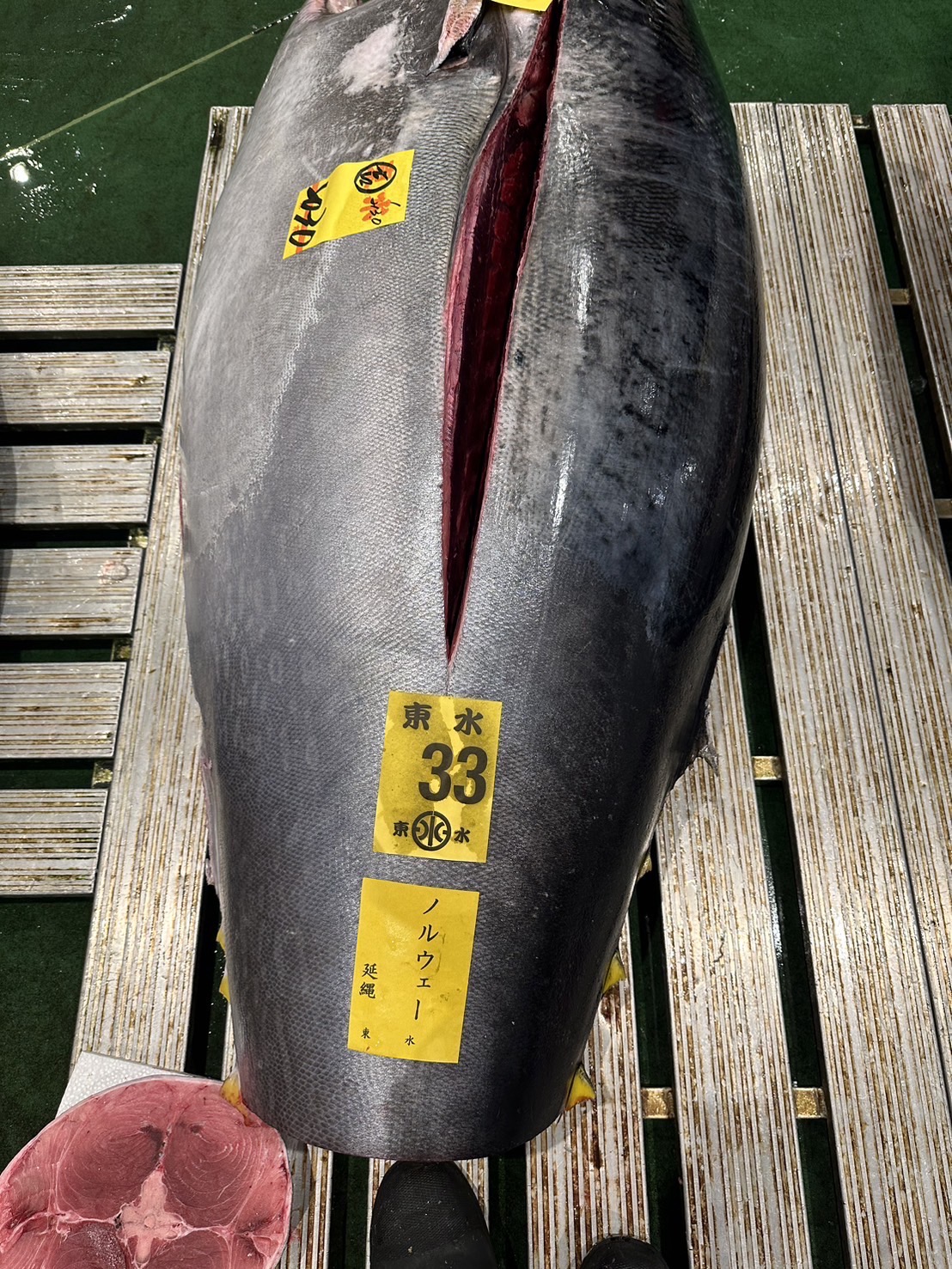 本マグロ注文分1入約8.4kg【業務用の鮮魚仕入れならウーオ】