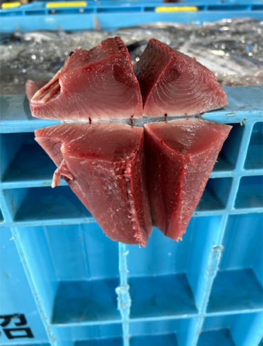 カツオ3/4k1入約3kg(釣)【業務用の鮮魚仕入れならウーオ】