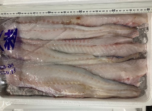 タラフィレ6/8入約5kg(沿岸) | UUUO(ウーオ)