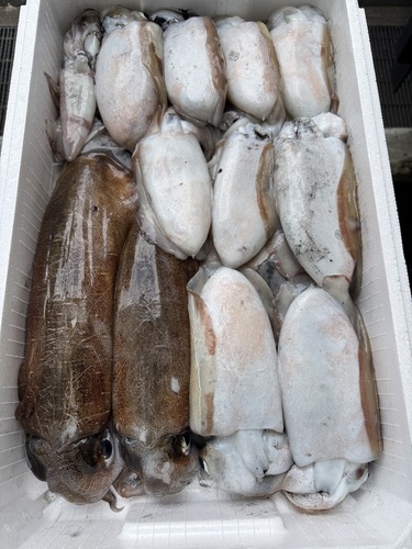 鮮魚BOX約4.7kg(定置)【業務用の鮮魚仕入れならウーオ】