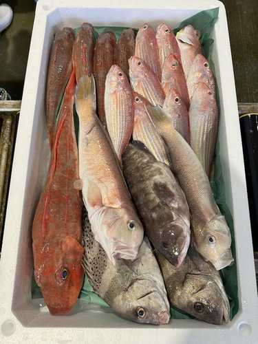 鮮魚BOX約5kg(沿岸)【業務用の鮮魚仕入れならウーオ】