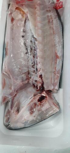 神経〆カンパチ（養殖）4.2kgの半身約2.1kg(沿岸)【業務用の鮮魚仕入れならウーオ】