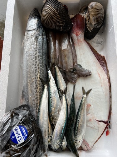 鮮魚BOX約4.9kg(定置)【業務用の鮮魚仕入れならウーオ】