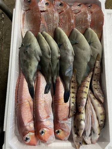 鮮魚BOX8約4.5kg(底曳)【業務用の鮮魚仕入れならウーオ】