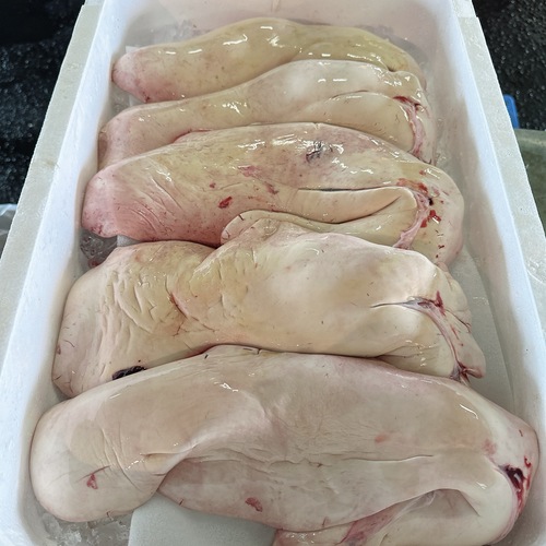 アンコウ1kg up /5入約6kg(底曳)【業務用の鮮魚仕入れならウーオ】