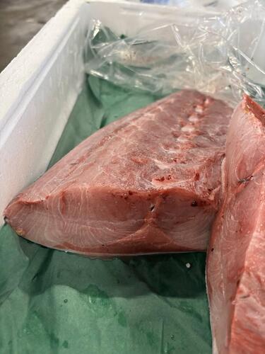 ブリ(天然)1入約9kg(巻網)【業務用の鮮魚仕入れならウーオ】