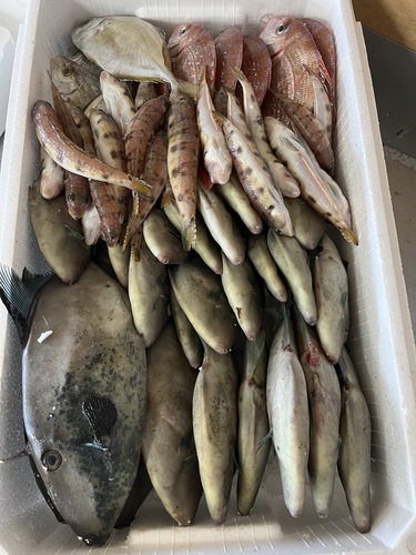 鮮魚BOX約6.5kg(底曳)【業務用の鮮魚仕入れならウーオ】