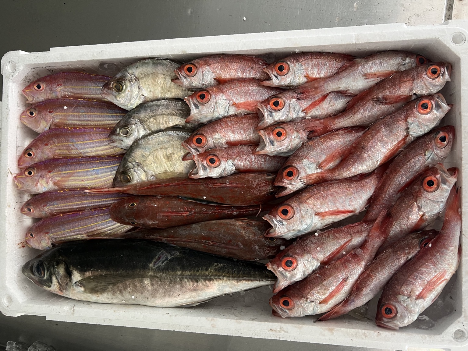 鮮魚BOX約3.7kg(底曳)【業務用の鮮魚仕入れならウーオ】