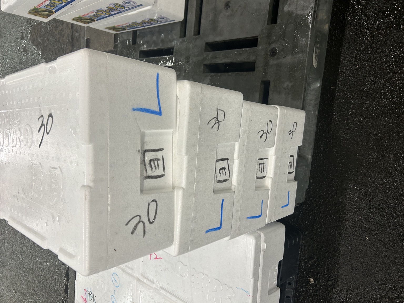 ホッキ貝Lサイズ30入約10kg【業務用の鮮魚仕入れならウーオ】