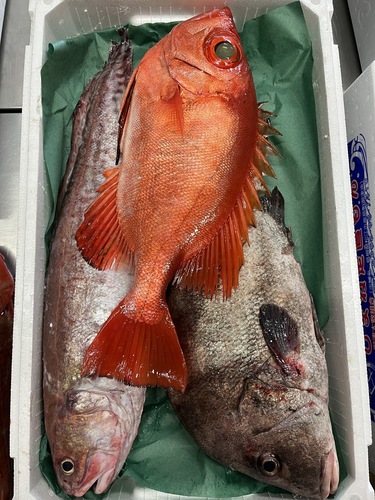 鮮魚BOX約4.7kg(底曳)【業務用の鮮魚仕入れならウーオ】