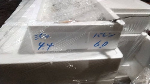 鮮魚BOX約10.4kg(定置)【業務用の鮮魚仕入れならウーオ】