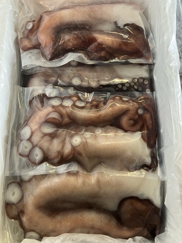 活〆タコ足(カゴ) | UUUO(ウーオ)