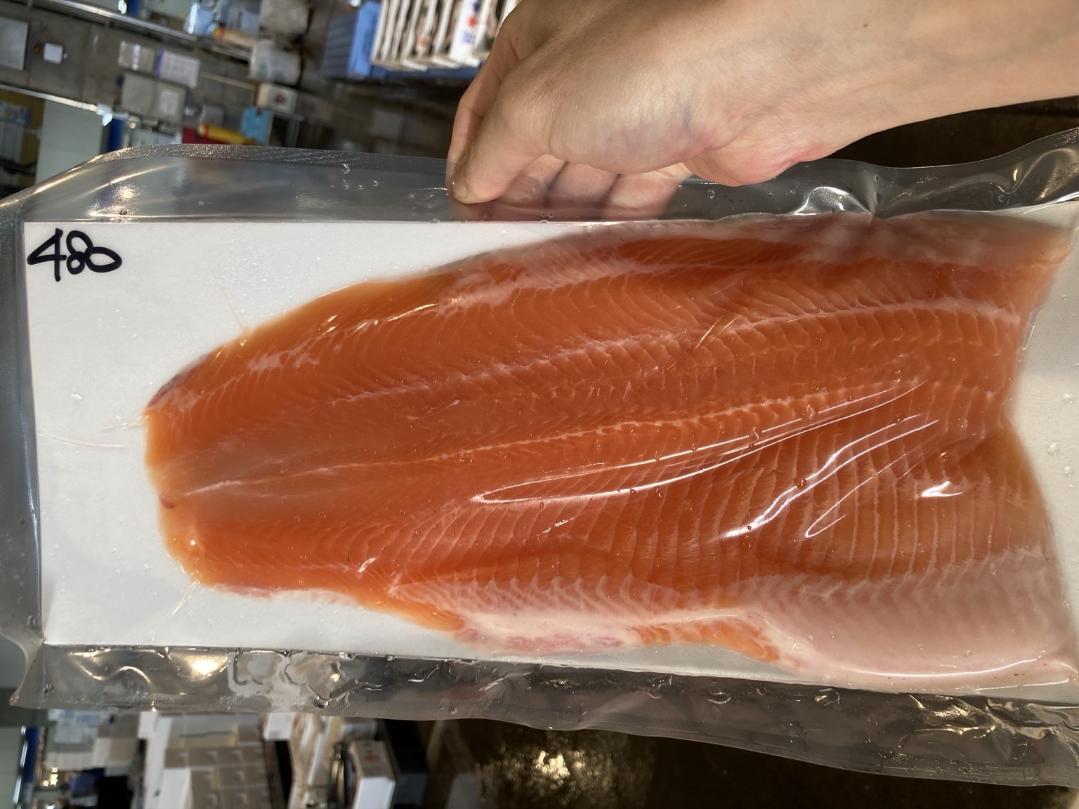 サーモン2k前後2入約4kg【業務用の鮮魚仕入れならウーオ】