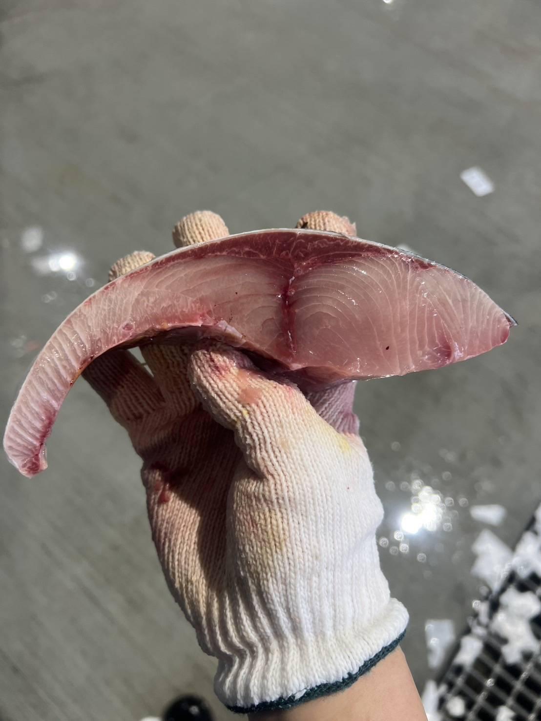 ワラサ12-13キロ台2入約12.5kg(小網)【業務用の鮮魚仕入れならウーオ】