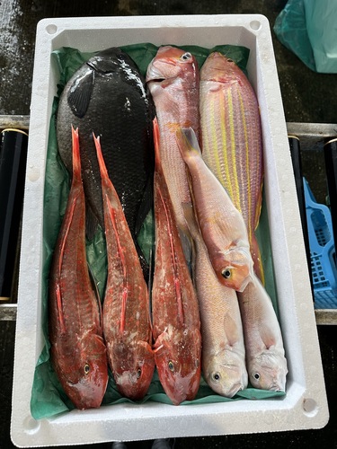 鮮魚BOX約5.5kg(沿岸)【業務用の鮮魚仕入れならウーオ】