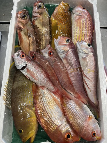 鮮魚BOX②約4.5kg(底曳) | UUUO(ウーオ)